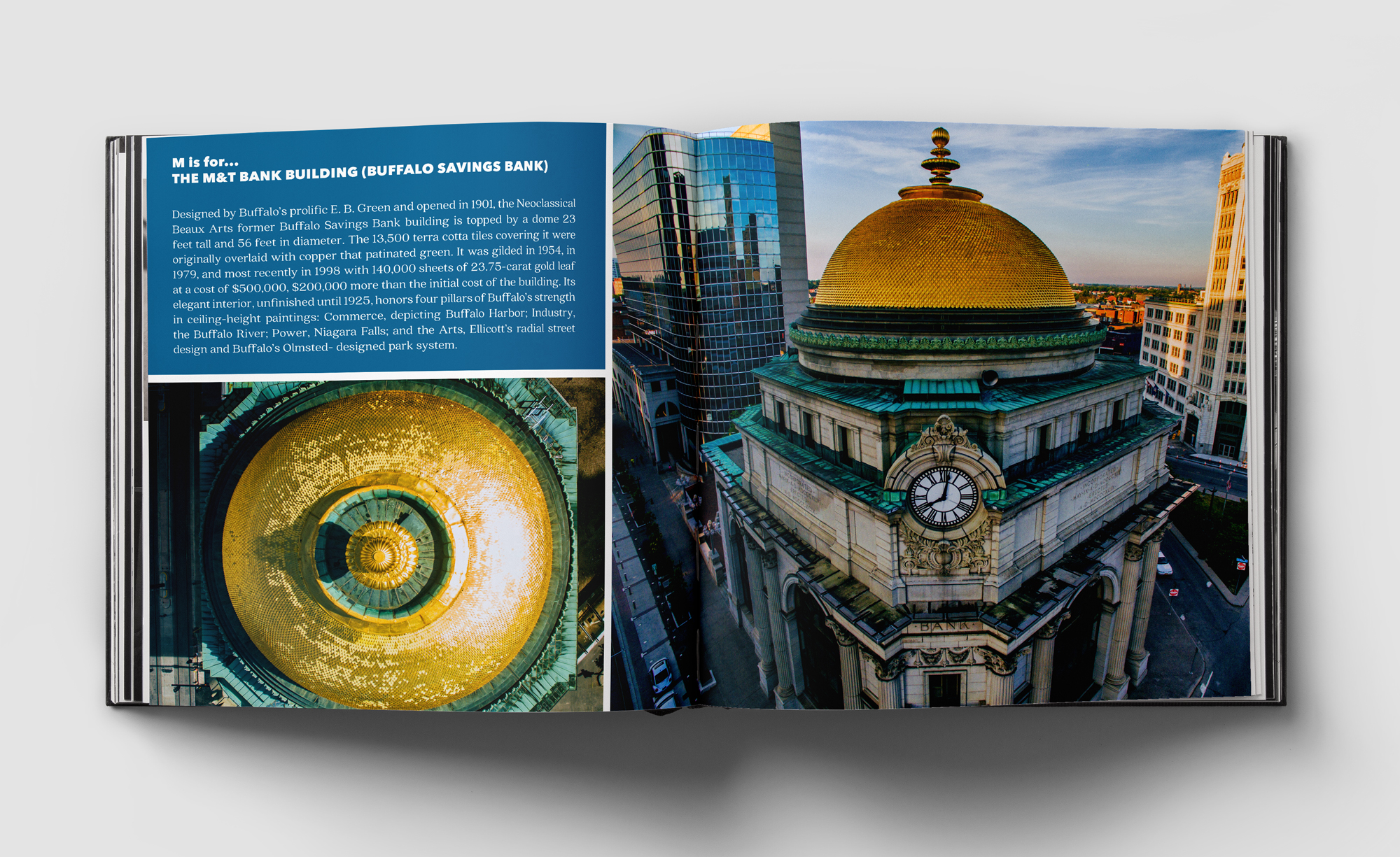 B Is For Buffalo – Christopher Hyzy